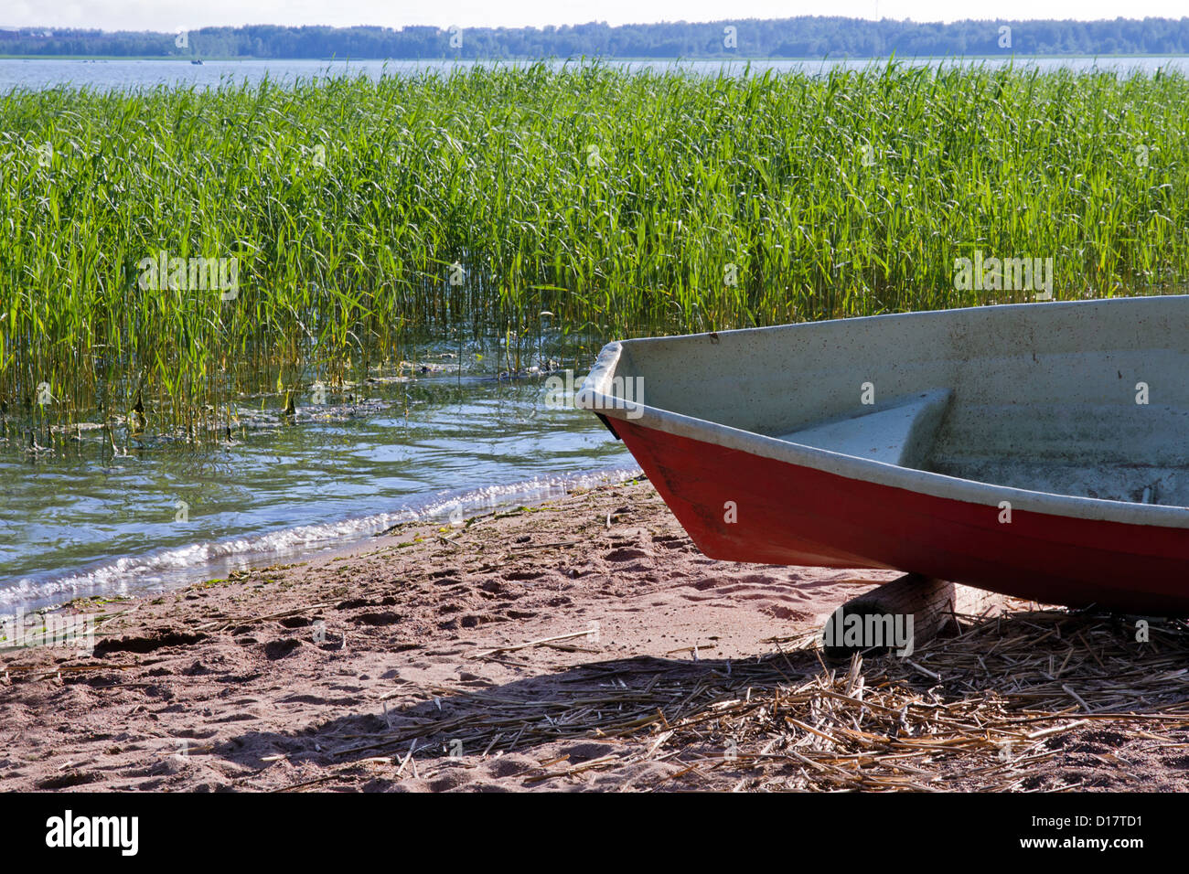 Rowing boat at sea shore with tall grass Stock Photo - Alamy