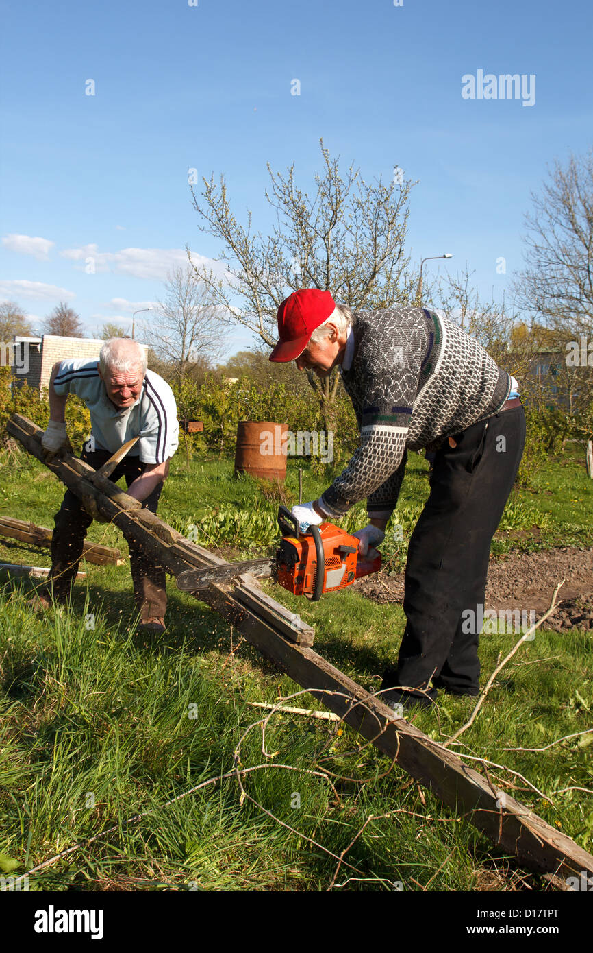 two man working in garden. destroy old building and sawing planks Stock ...