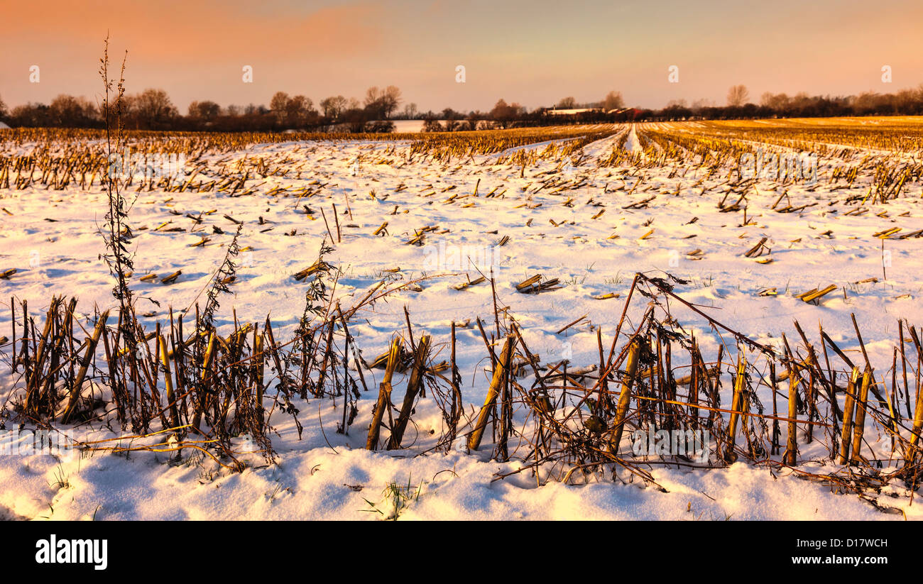 Frosty farming scene hi-res stock photography and images - Alamy