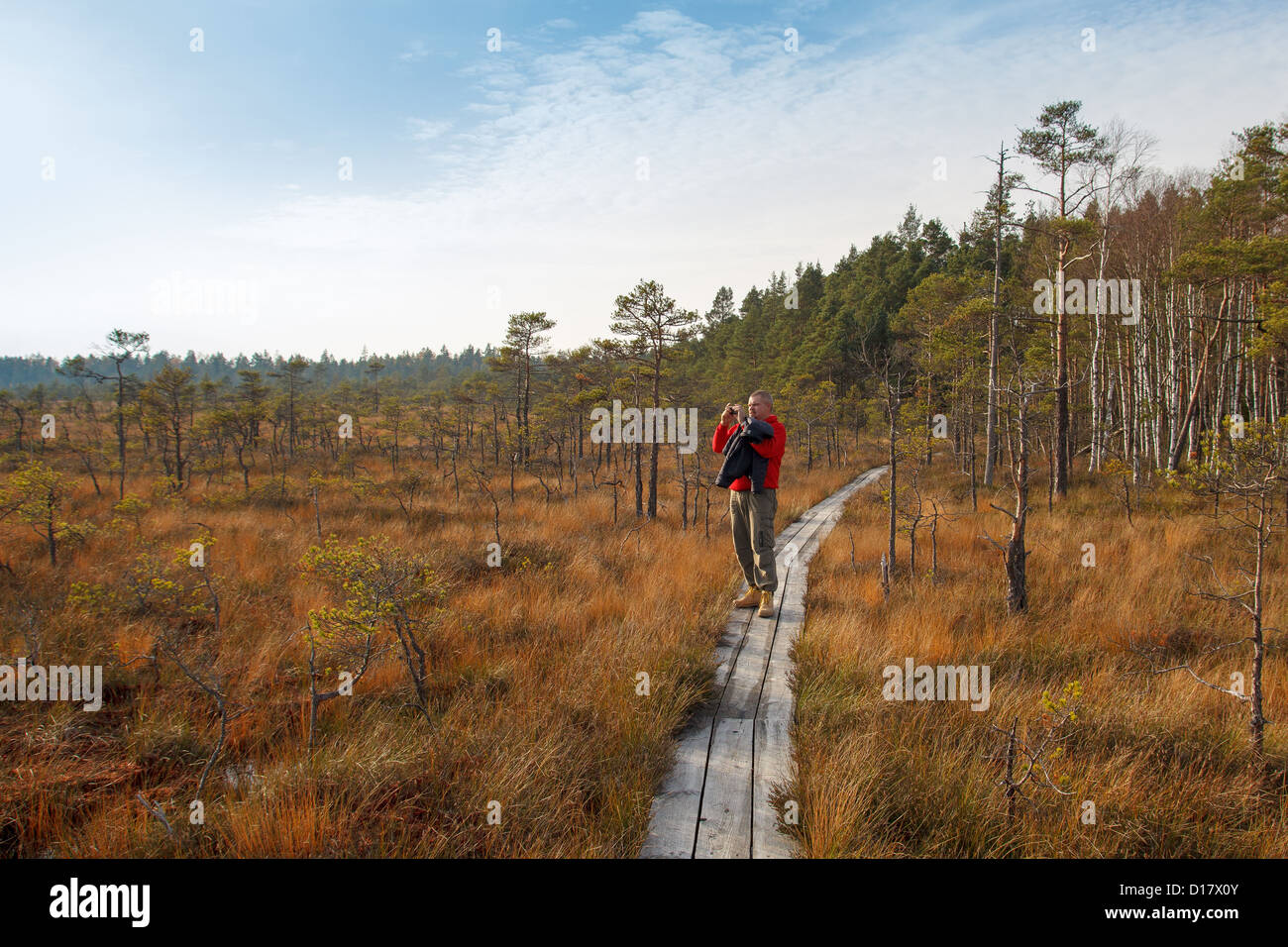 Bog man hi-res stock photography and images - Alamy