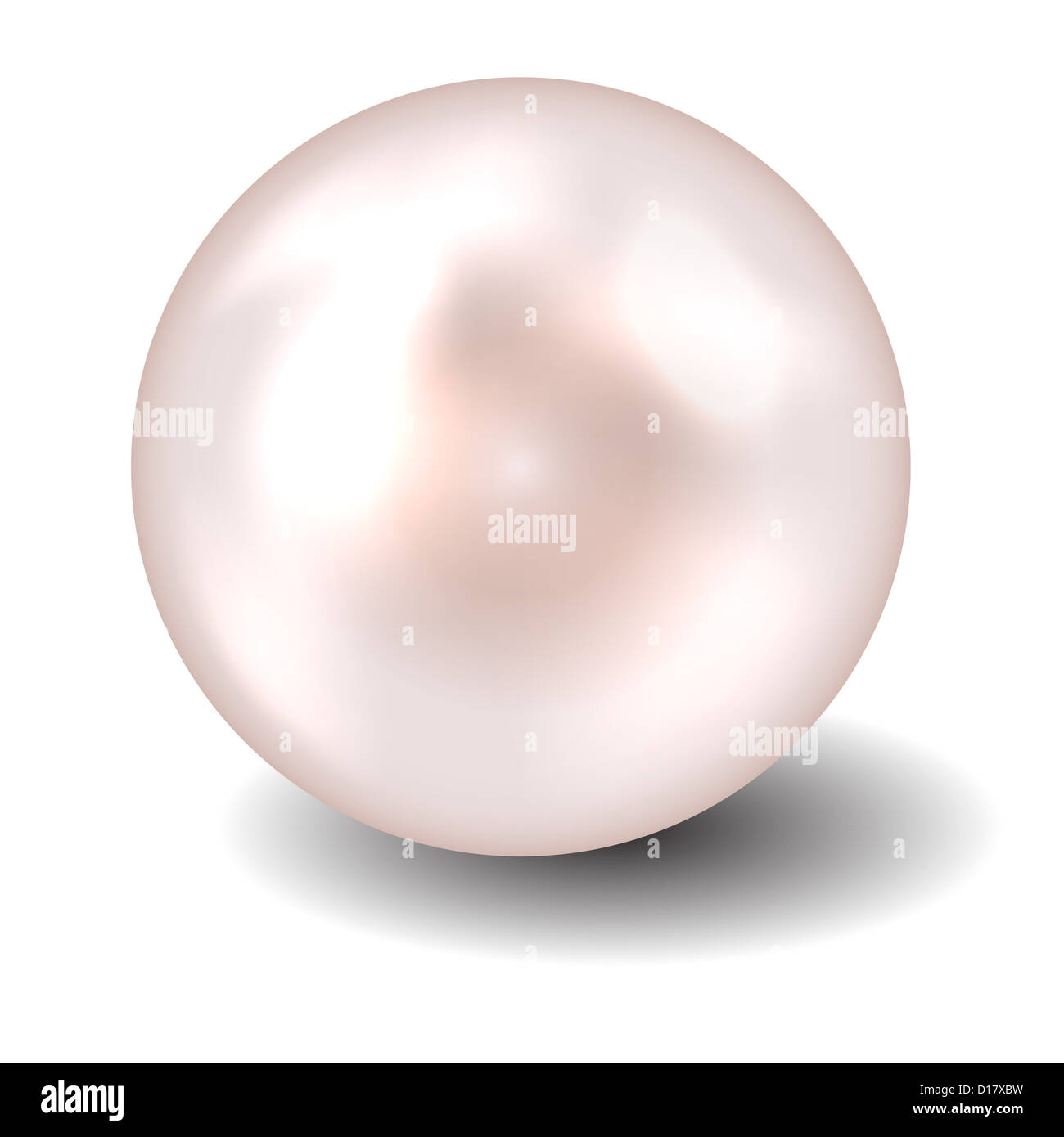 Pearl vector illustration Stock Photo - Alamy