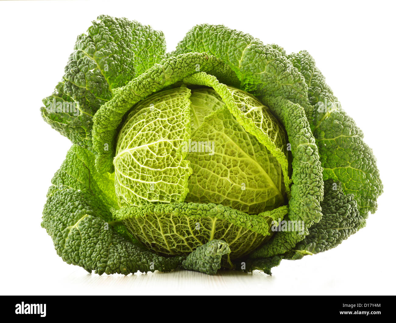 Grocery cabbage hi-res stock photography and images - Alamy