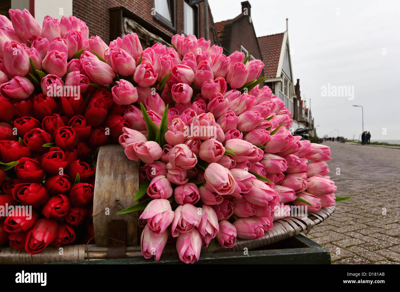Holland, Volendam village (Amsterdam), fake tulips for sale Stock Photo ...