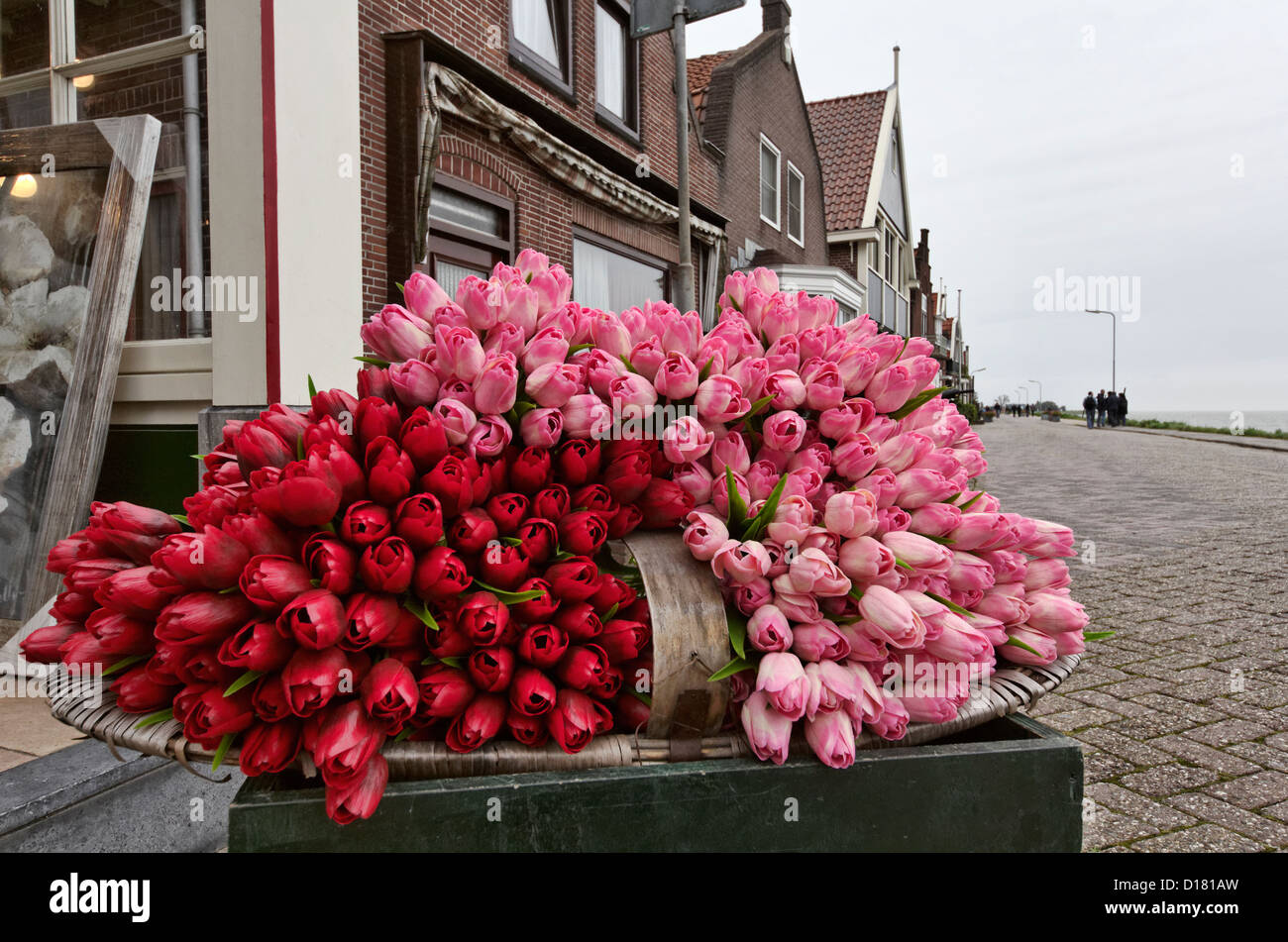 Holland, Volendam village (Amsterdam), fake tulips for sale Stock Photo ...