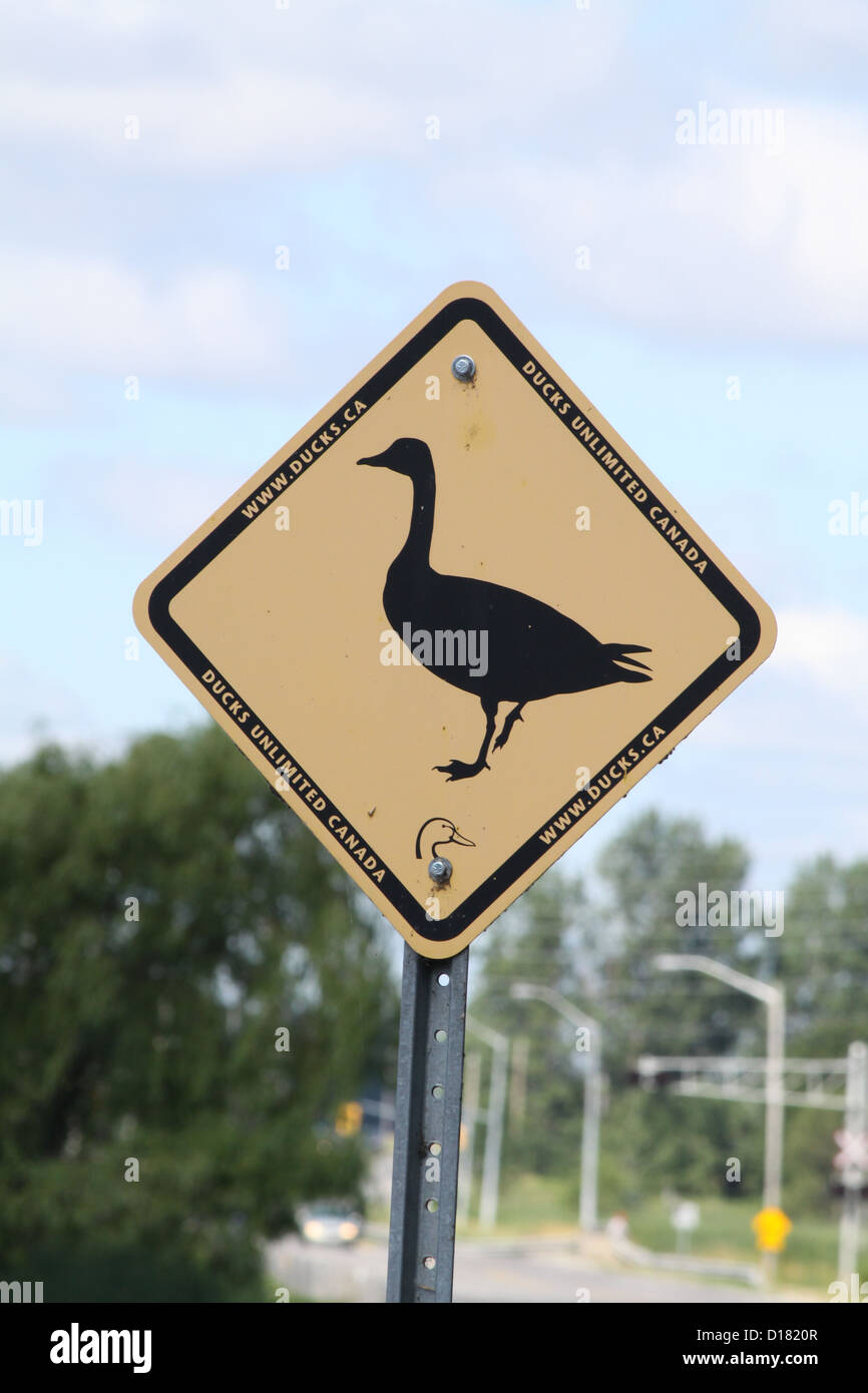 Yellow sign warning of possibility of geese crossing the roads to and ...