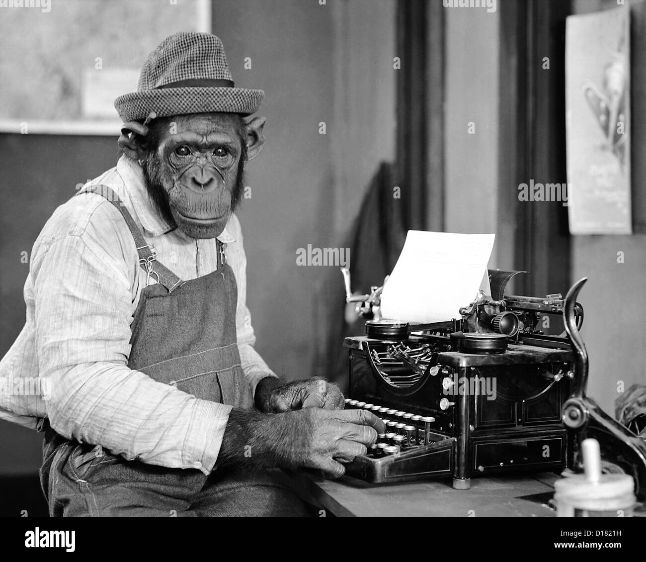 Primate mimic hi-res stock photography and images - Alamy