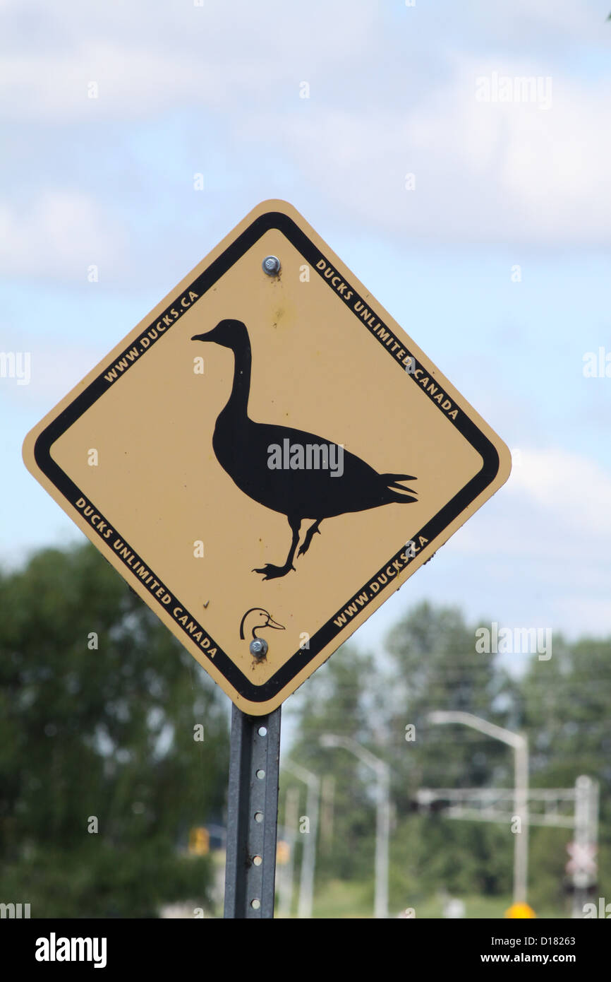 Yellow sign warning of possibility of geese crossing the roads to and ...