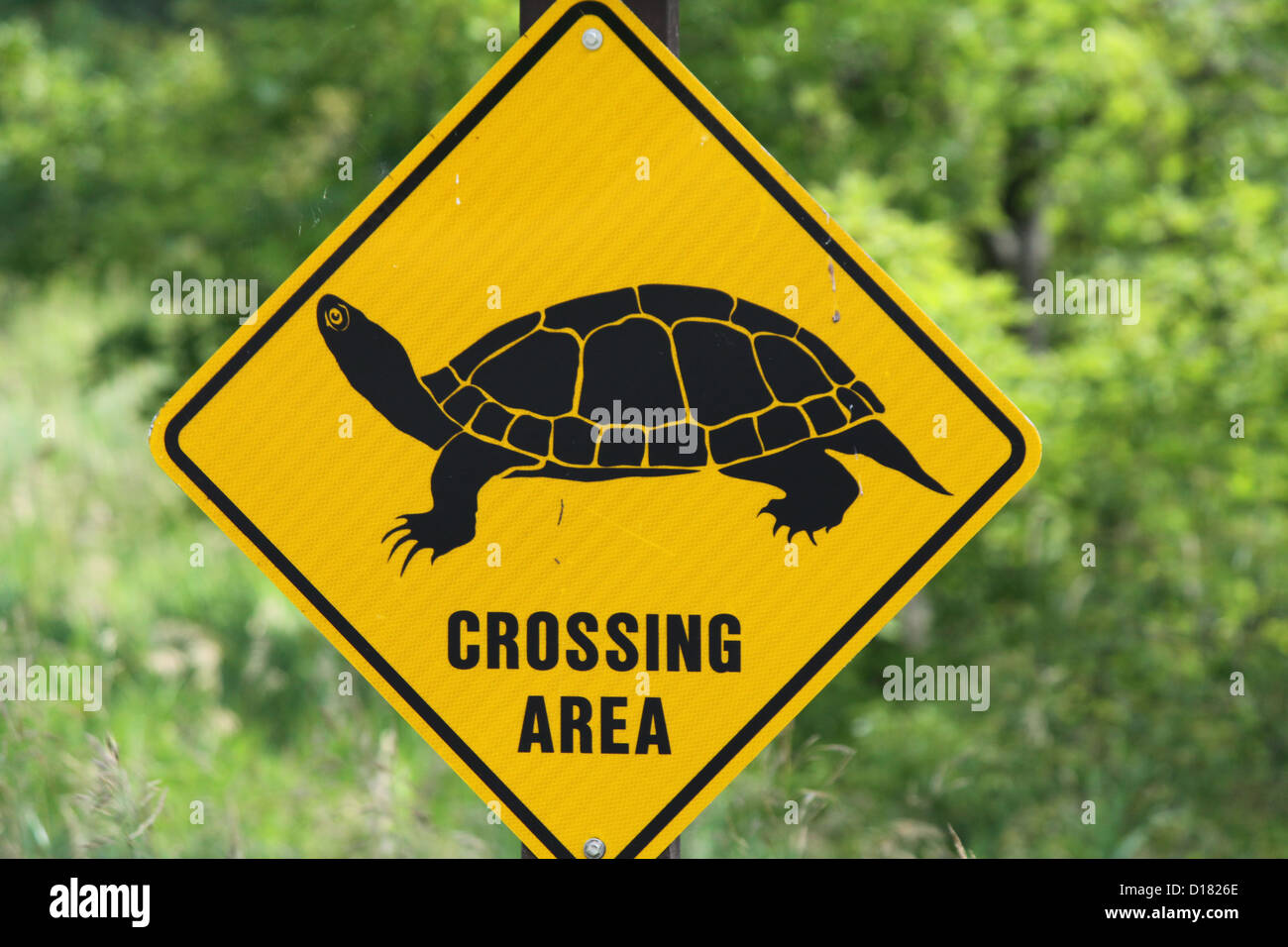 Yellow sign warning of possibility of turtles crossing the roads ...