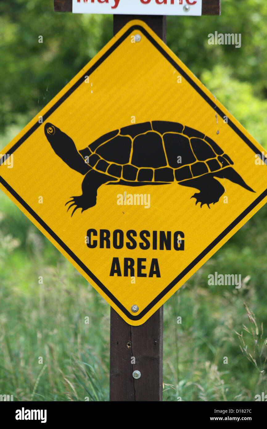 Yellow sign warning of possibility of turtles crossing the roads ...