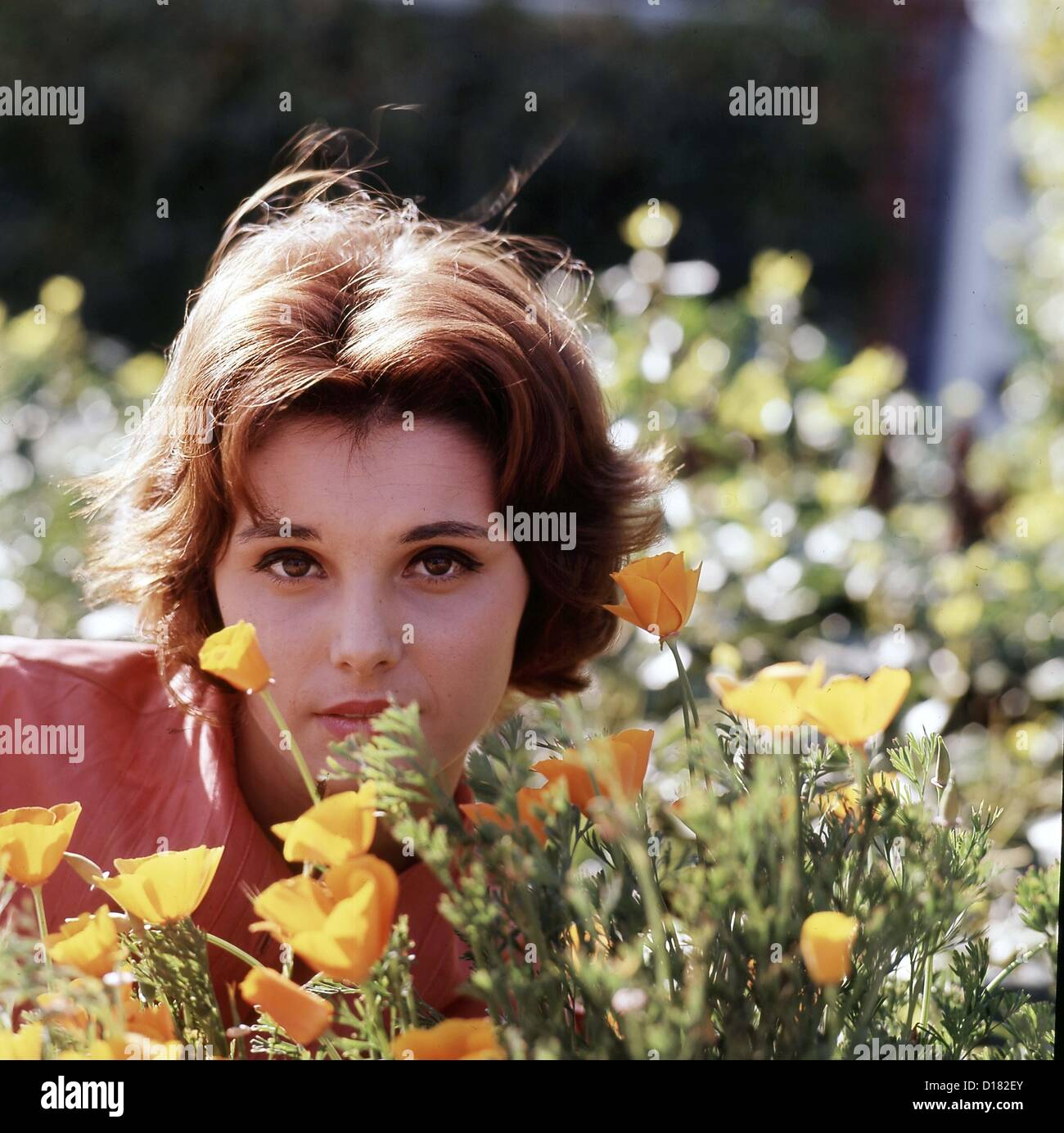 ANGELA DORIAN 1975.k27358.Supplied by Photos, inc.(Credit Image ...