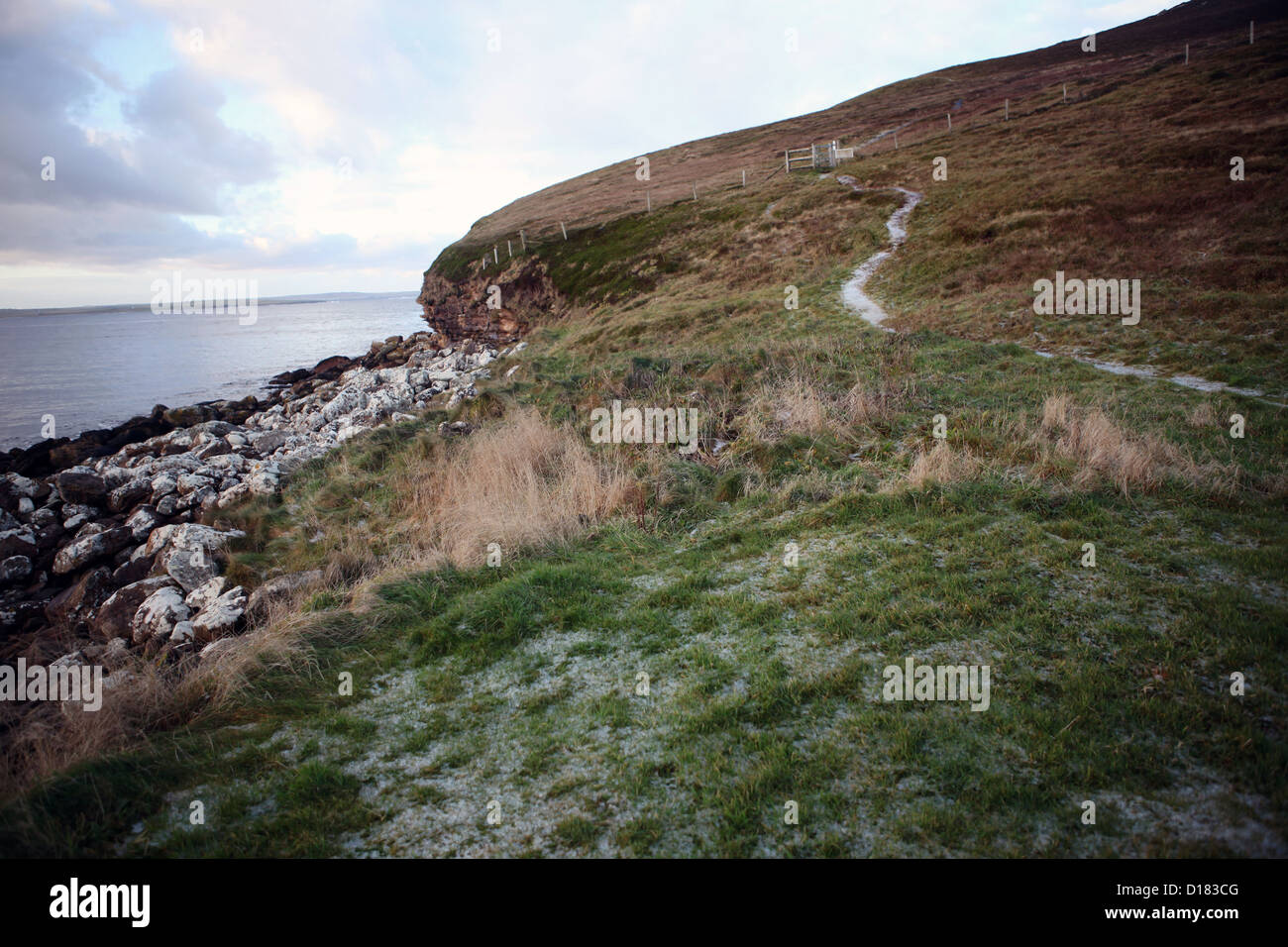 Dunnet forest hi-res stock photography and images - Alamy