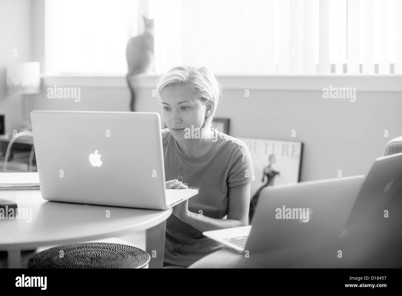 Blonde student working at computer Stock Photo - Alamy