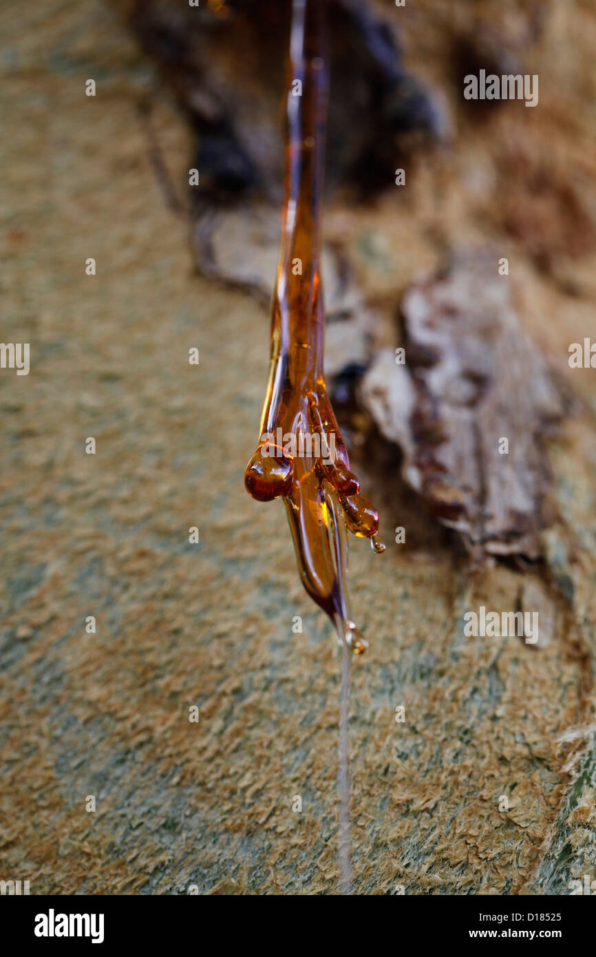 Resin dripping hi-res stock photography and images - Alamy