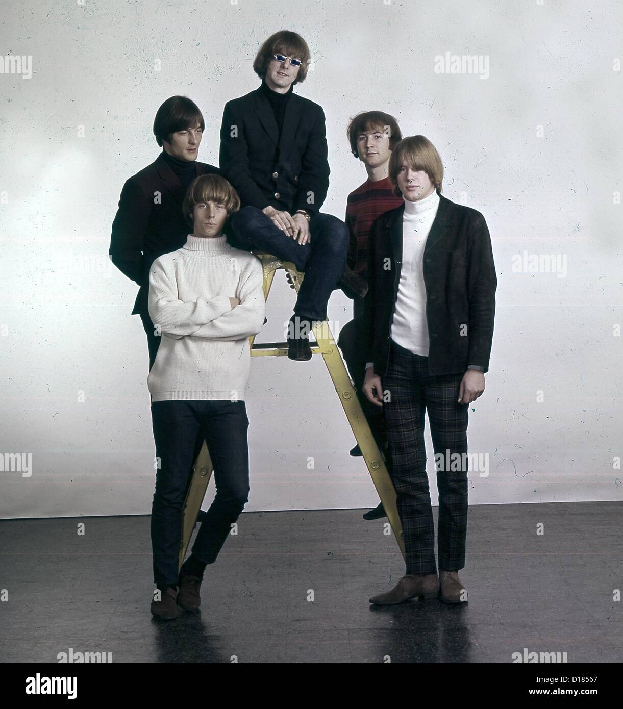 Byrds hi-res stock photography and images - Alamy