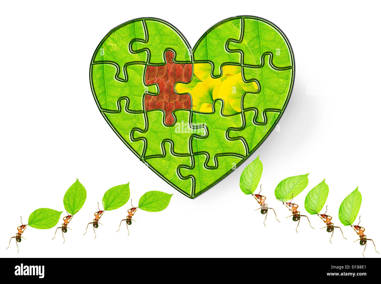 Ants organizations to complete a large puzzle Stock Photo - Alamy