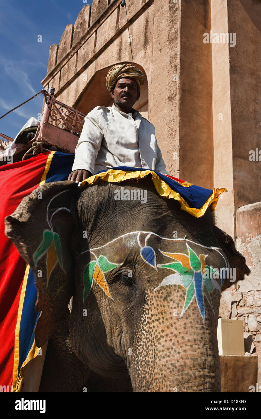 India, Rajasthan, Jaipur, the Amber Fort, elephant driver Stock Photo ...