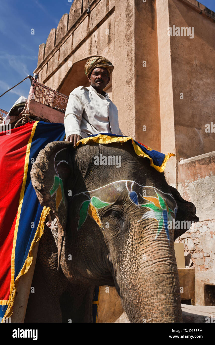 India, Rajasthan, Jaipur, the Amber Fort, elephant driver Stock Photo ...