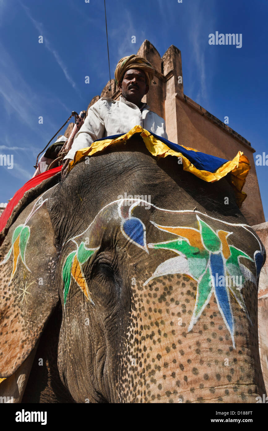 India, Rajasthan, Jaipur, the Amber Fort, elephant driver Stock Photo ...