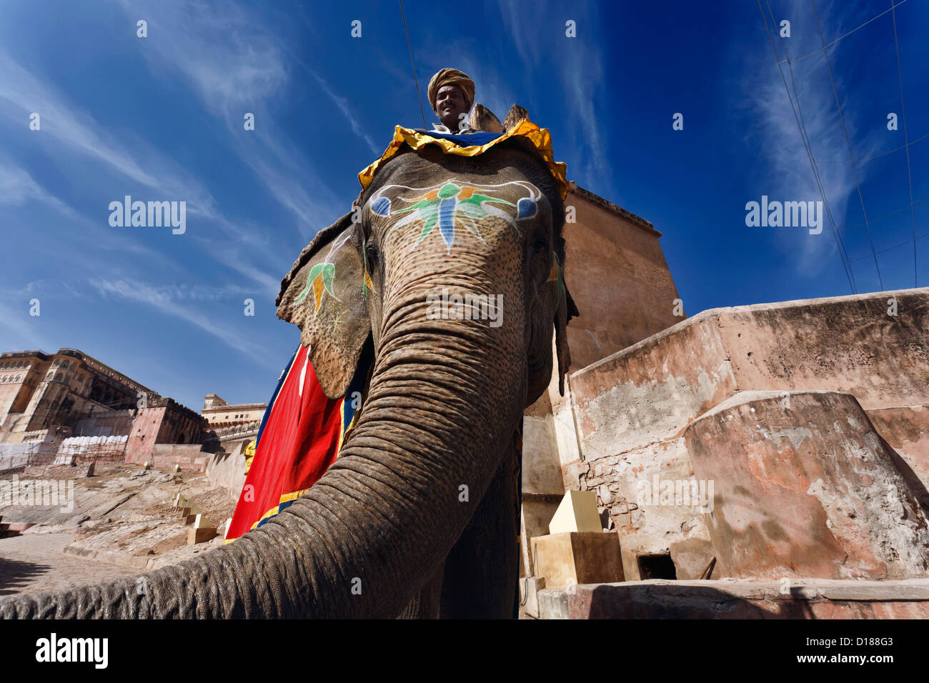 India, Rajasthan, Jaipur, the Amber Fort, elephant driver Stock Photo ...