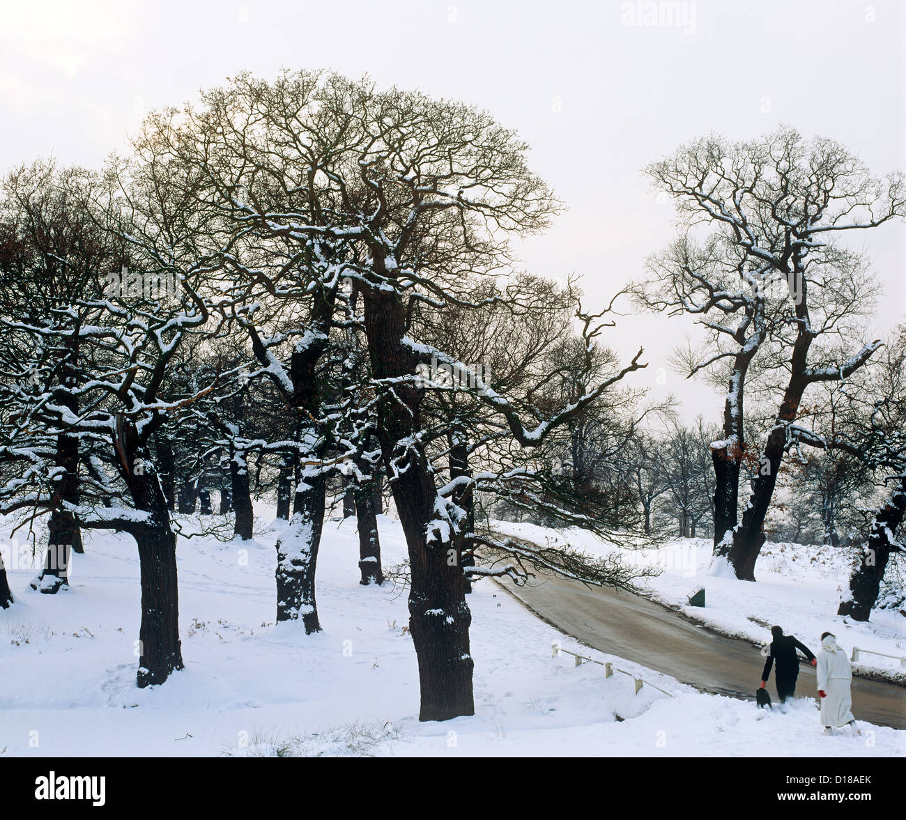 Richmond park winter walking hi-res stock photography and images - Alamy