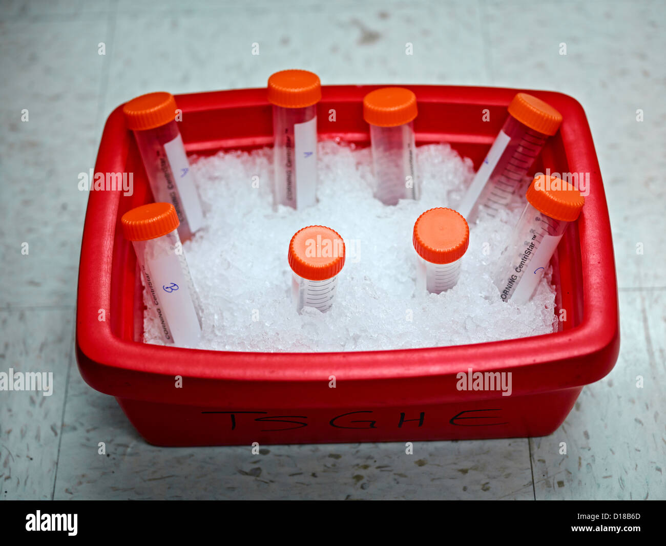 Test tubes and beakers on ice in a bin Stock Photo - Alamy