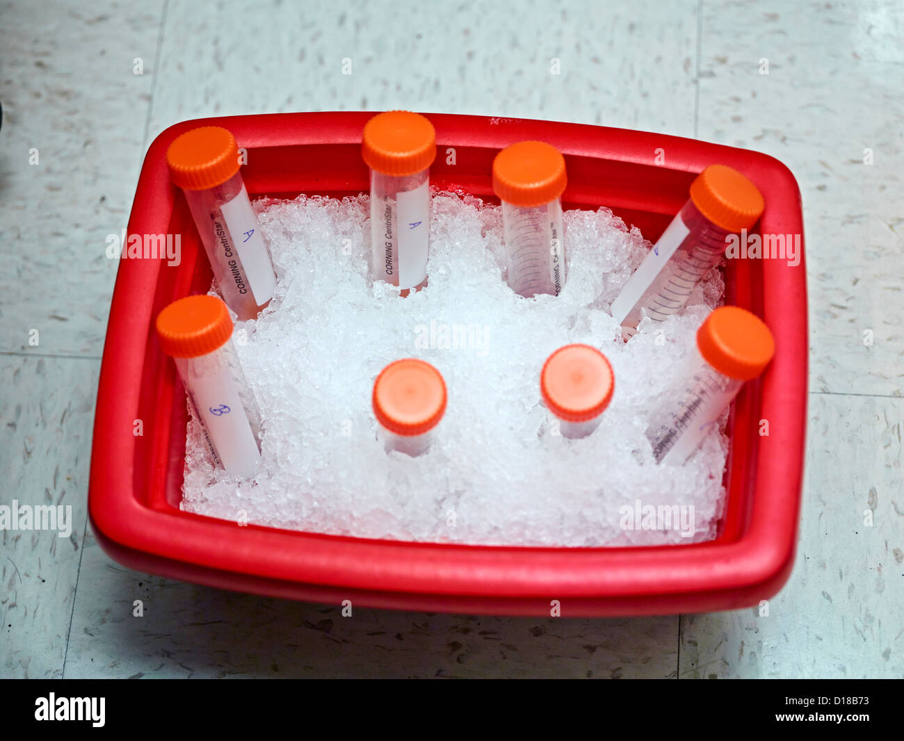 Test tubes and beakers on ice in a bin Stock Photo - Alamy