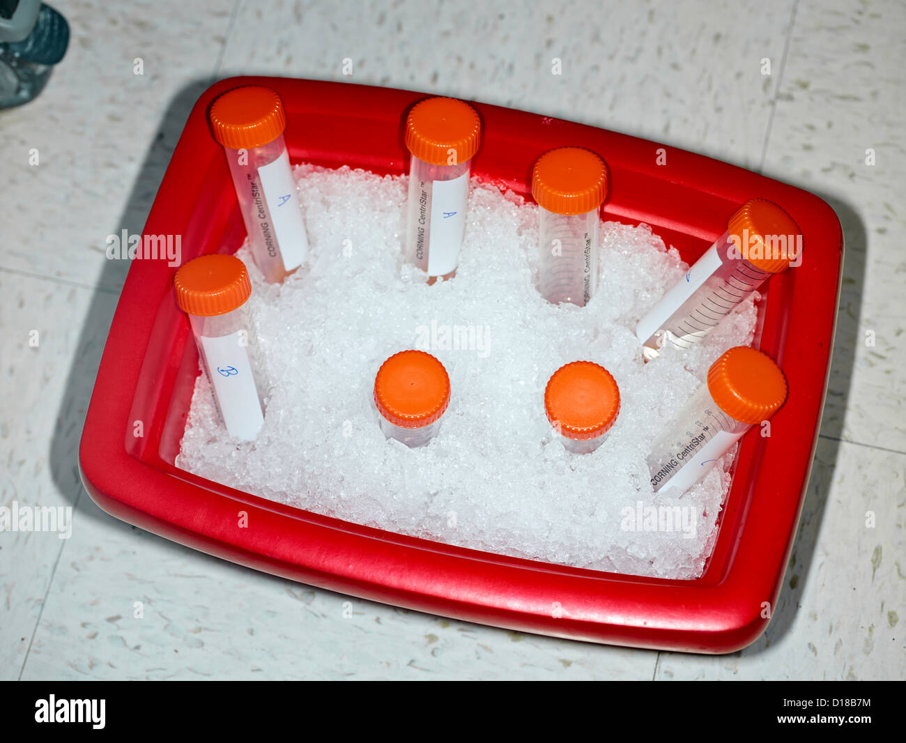 Test tubes and beakers on ice in a bin Stock Photo - Alamy