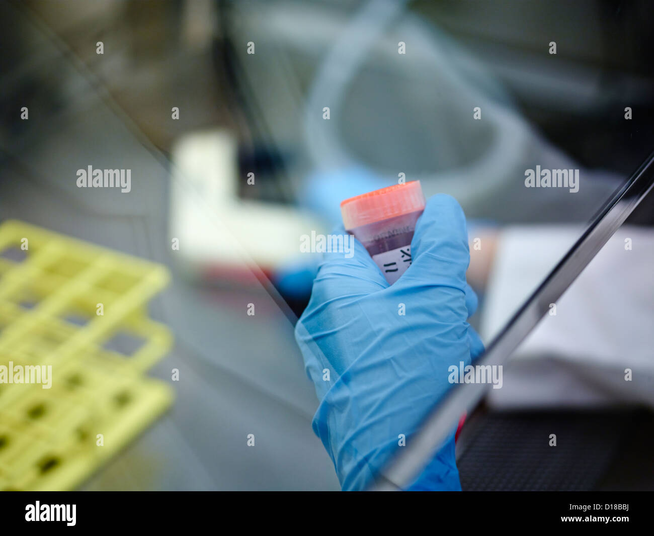 A science laboratory conducting various experiments with test tubes and ...