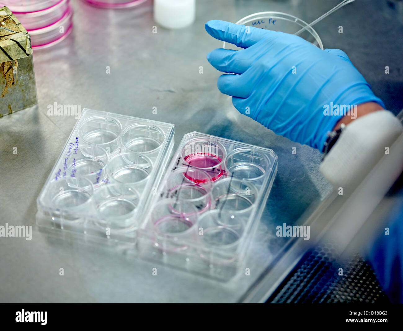 A science laboratory conducting various experiments with test tubes and ...