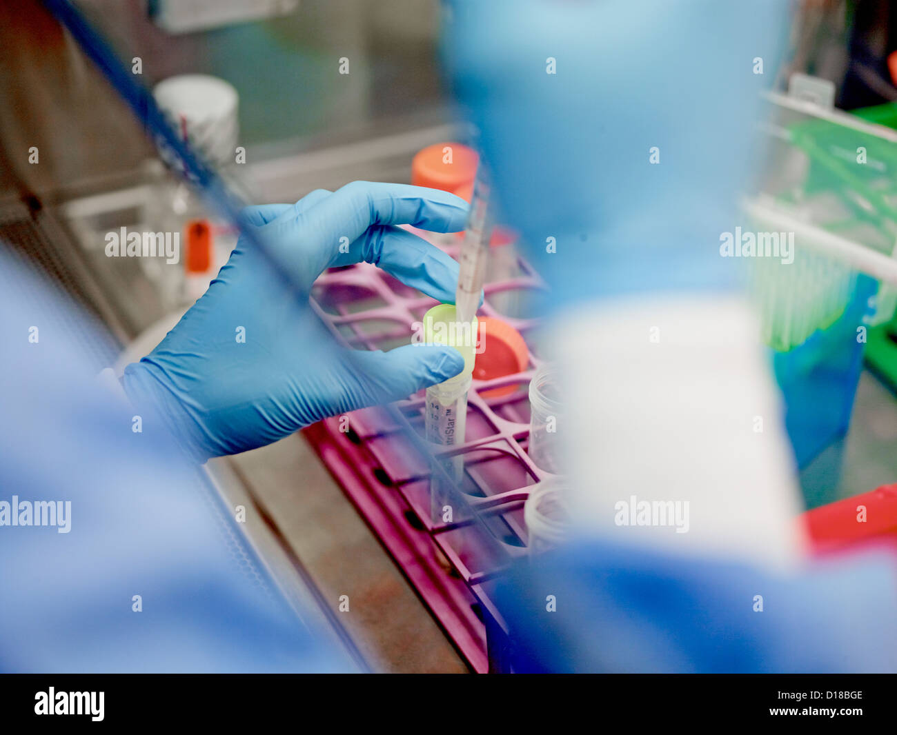A science laboratory conducting various experiments with test tubes and ...