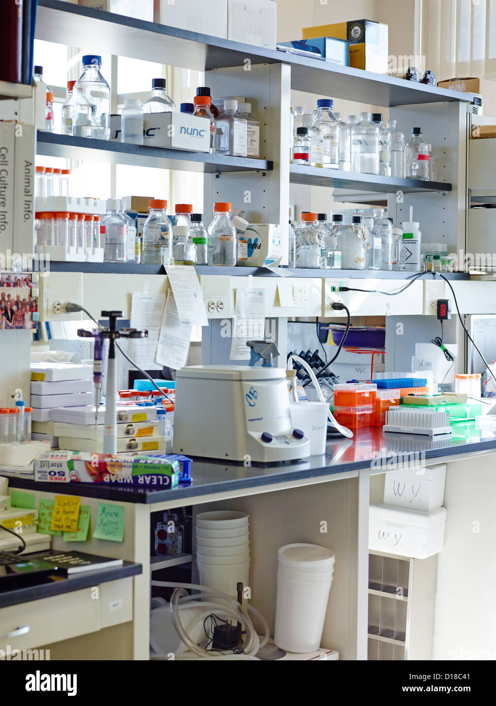 A science laboratory conducting various experiments Stock Photo - Alamy