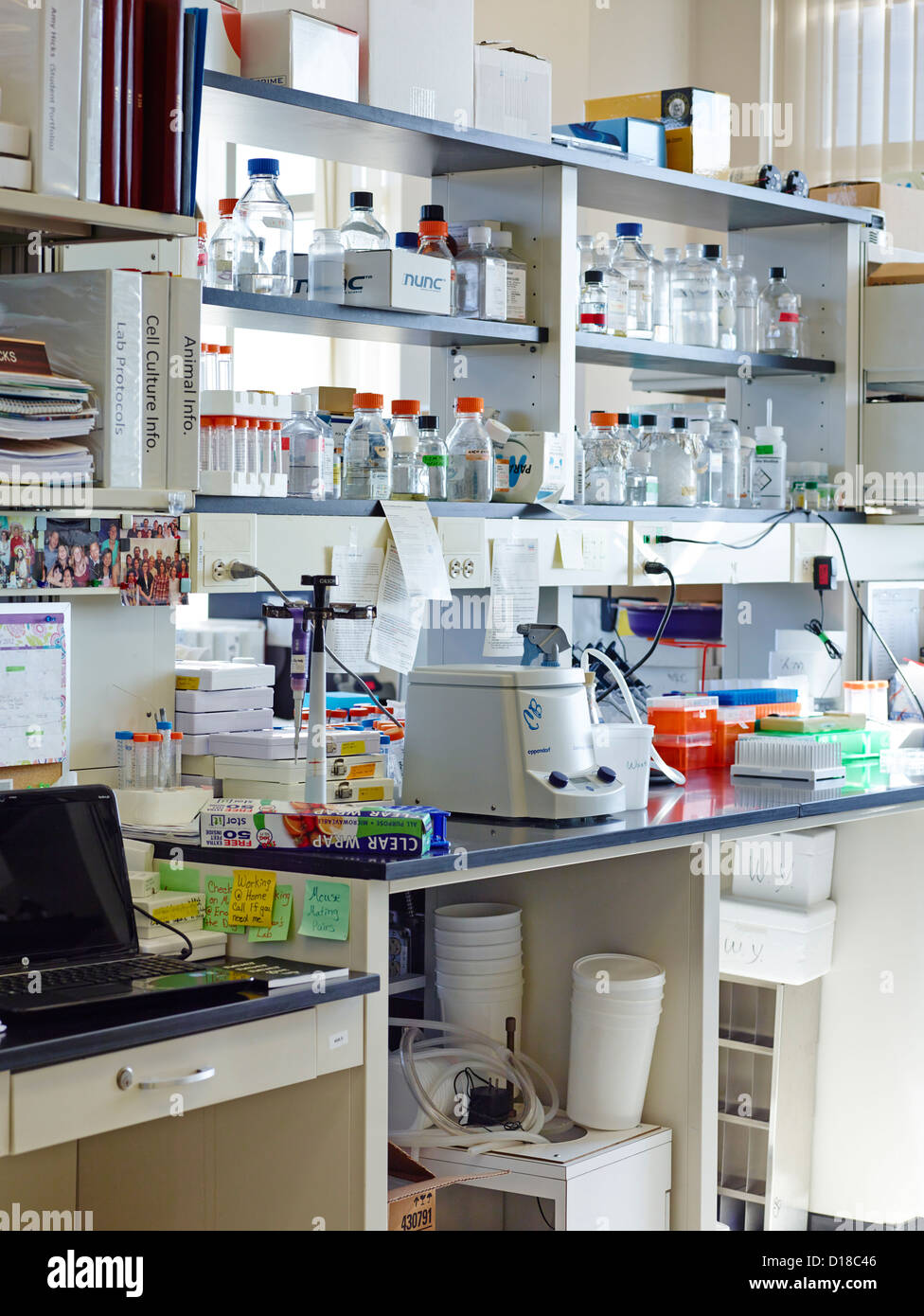 A science laboratory conducting various experiments Stock Photo - Alamy