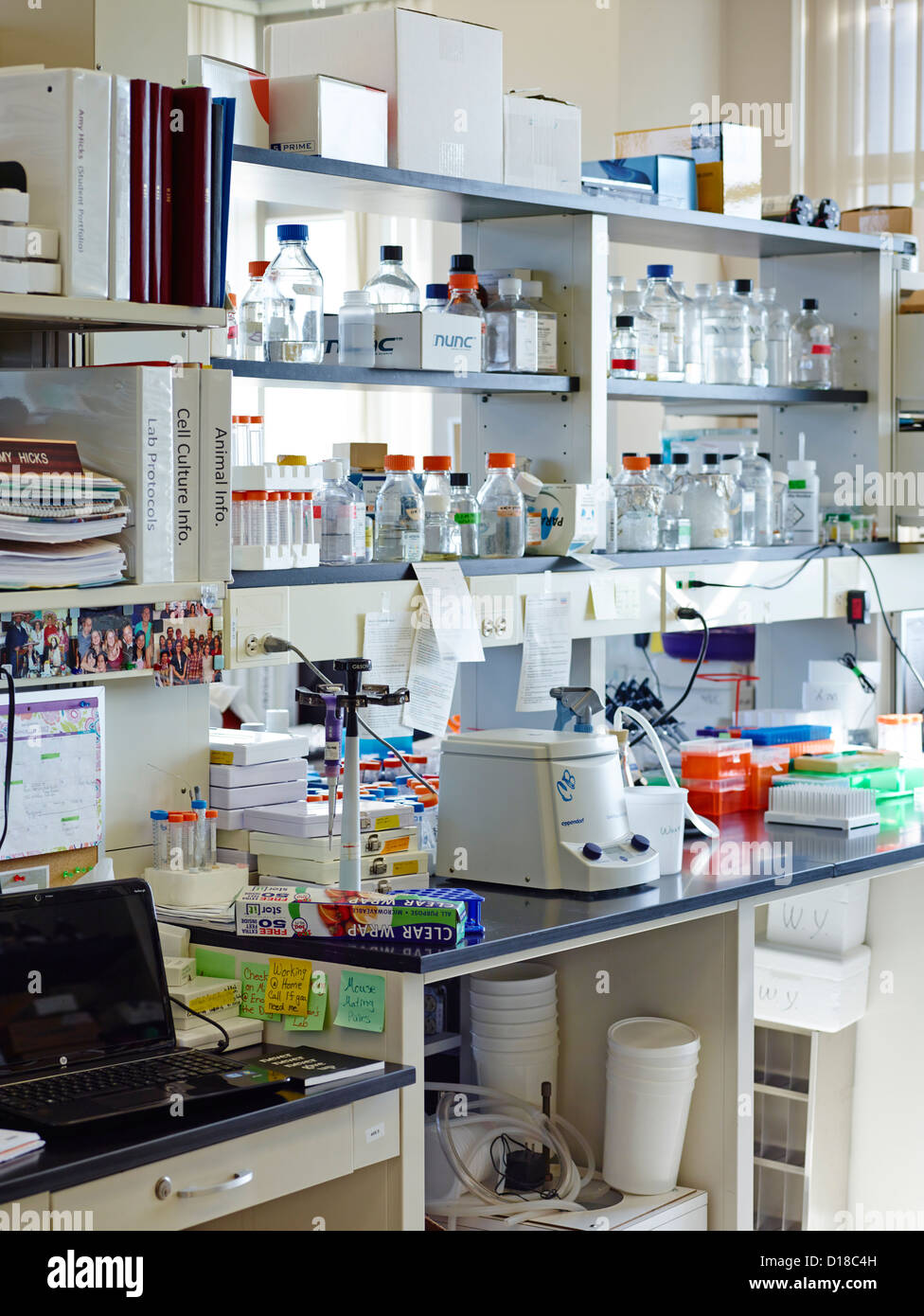 A science laboratory conducting various experiments Stock Photo - Alamy