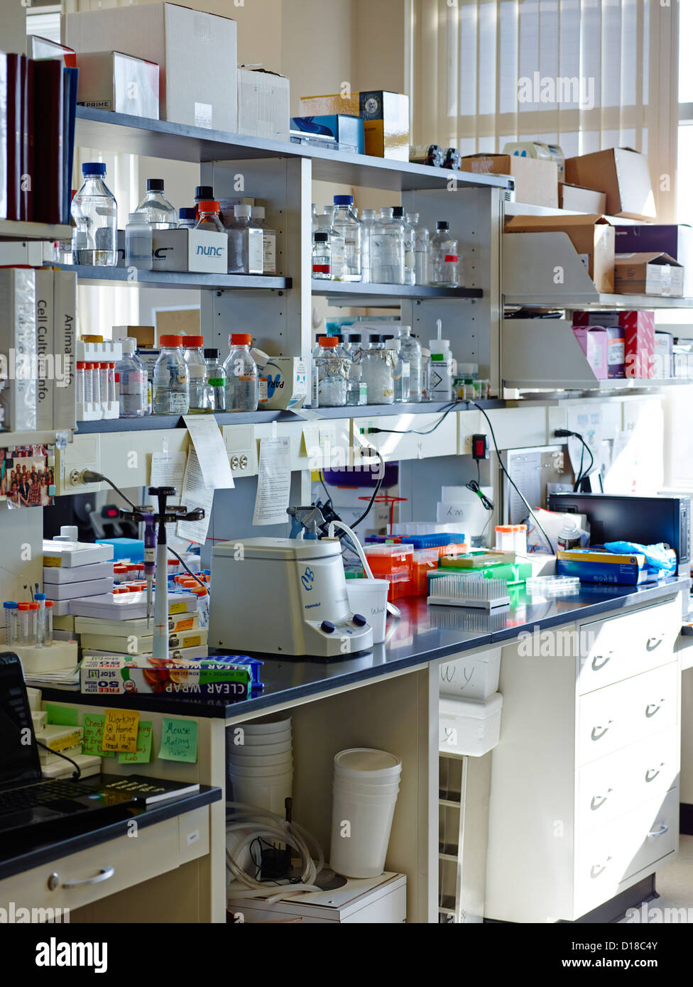 A science laboratory conducting various experiments Stock Photo - Alamy