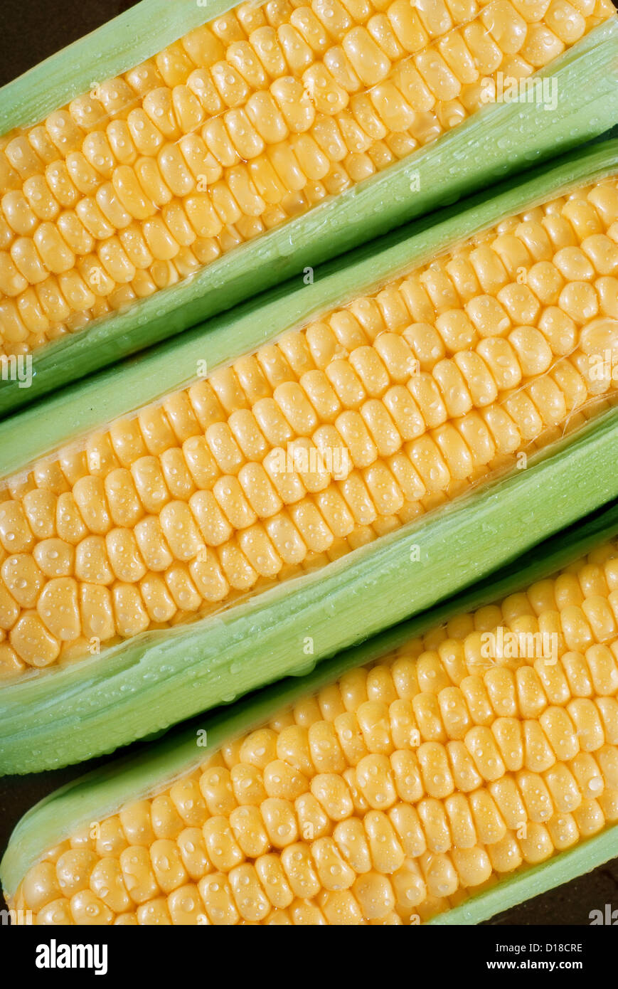 Group of three corn on cob maize food vegetables in diagonal ...