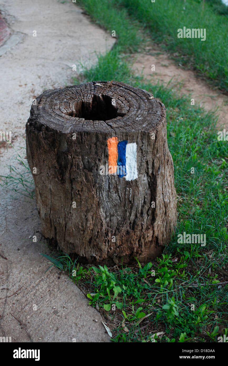 A three stripes marker on a tree marking the Israel National Trail, a ...