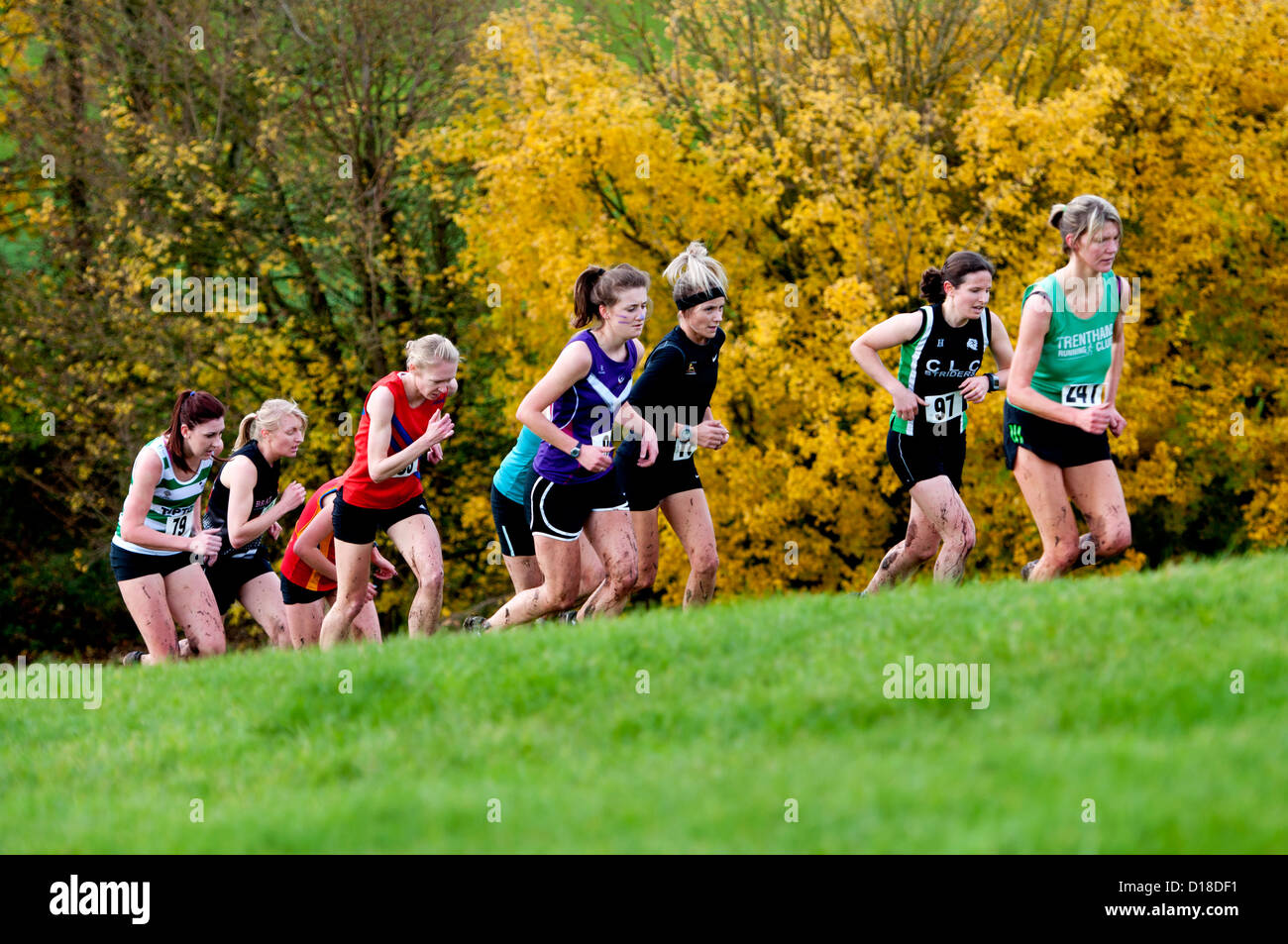 Women running uphill in a cross-country race Stock Photo - Alamy