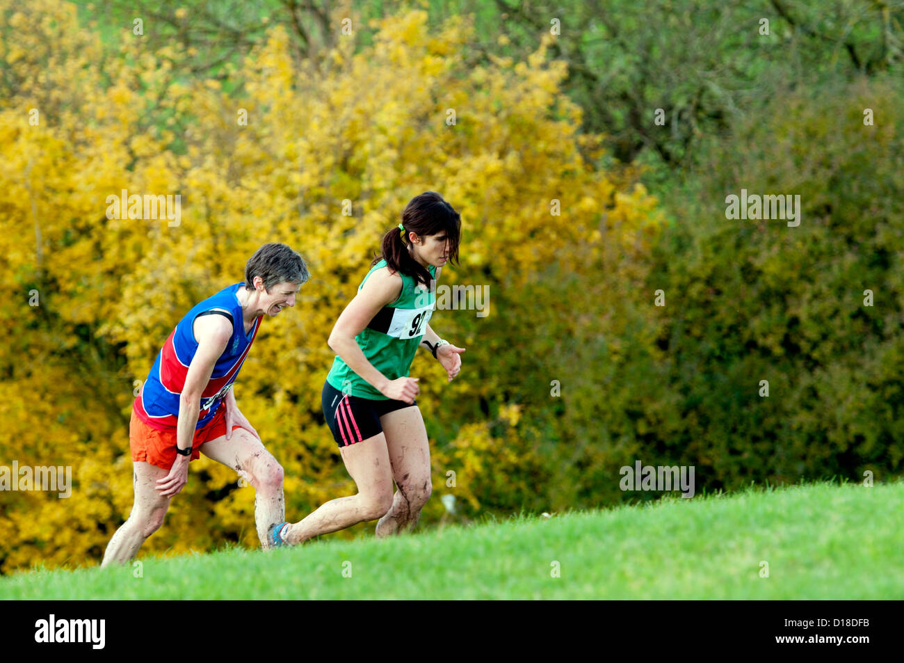 Women running uphill in a cross-country race Stock Photo - Alamy