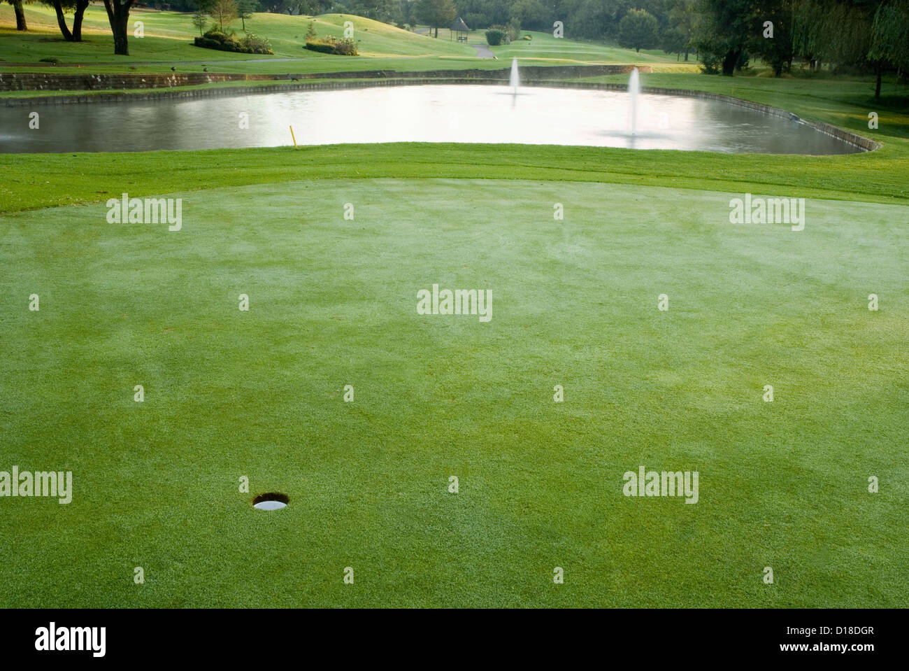 Golf putting green and water hazard pond Stock Photo - Alamy