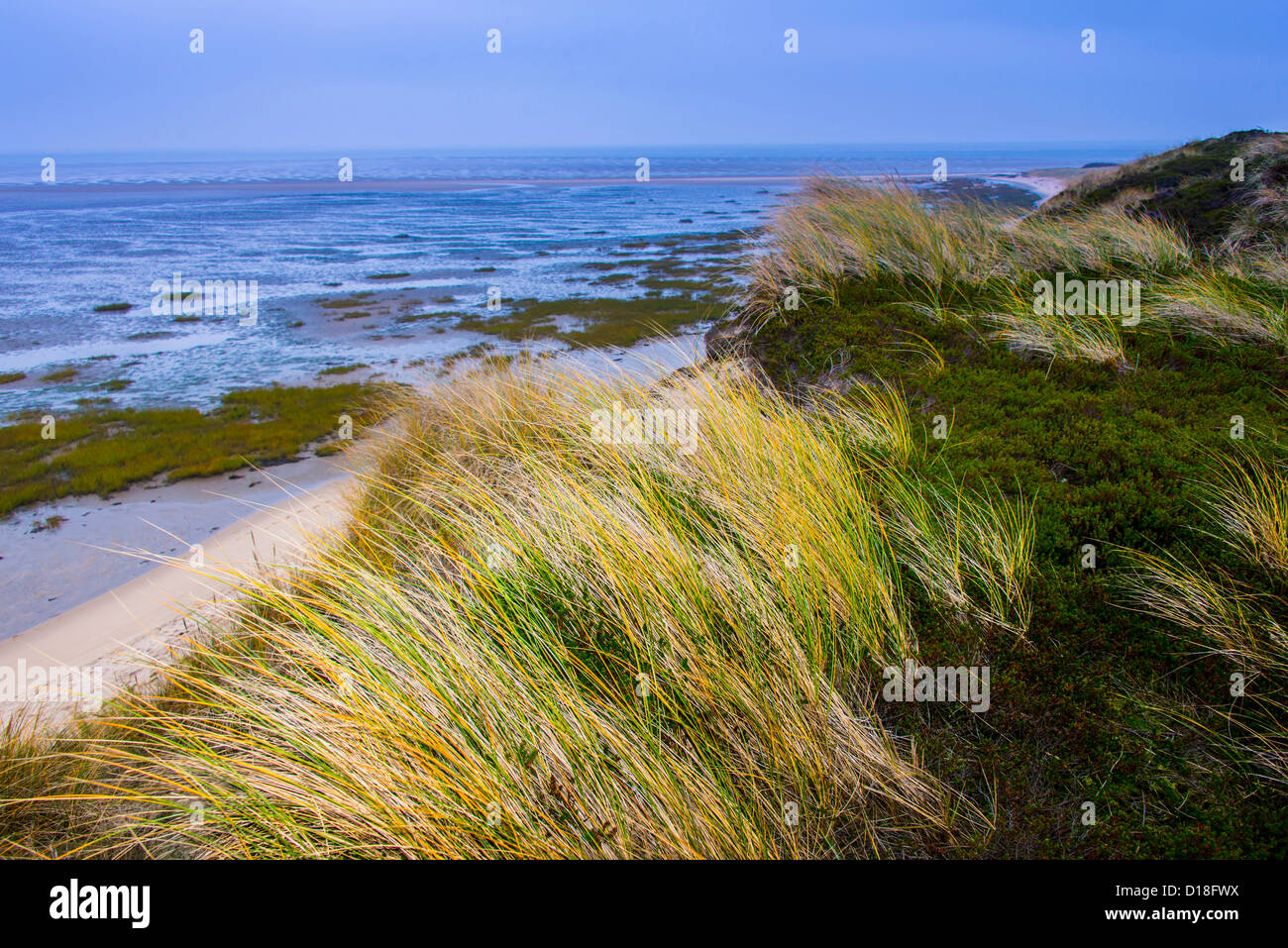 Sylt Rantum Schleswig-Holstein Wadden Sea National Park Stock Photo - Alamy
