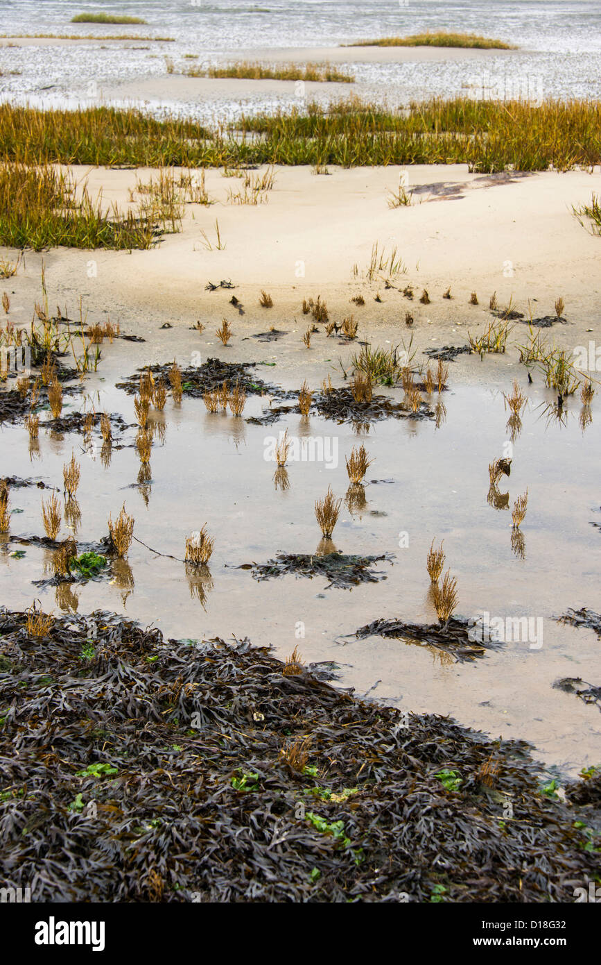 Sylt Rantum Schleswig-Holstein Wadden Sea National Park Stock Photo - Alamy