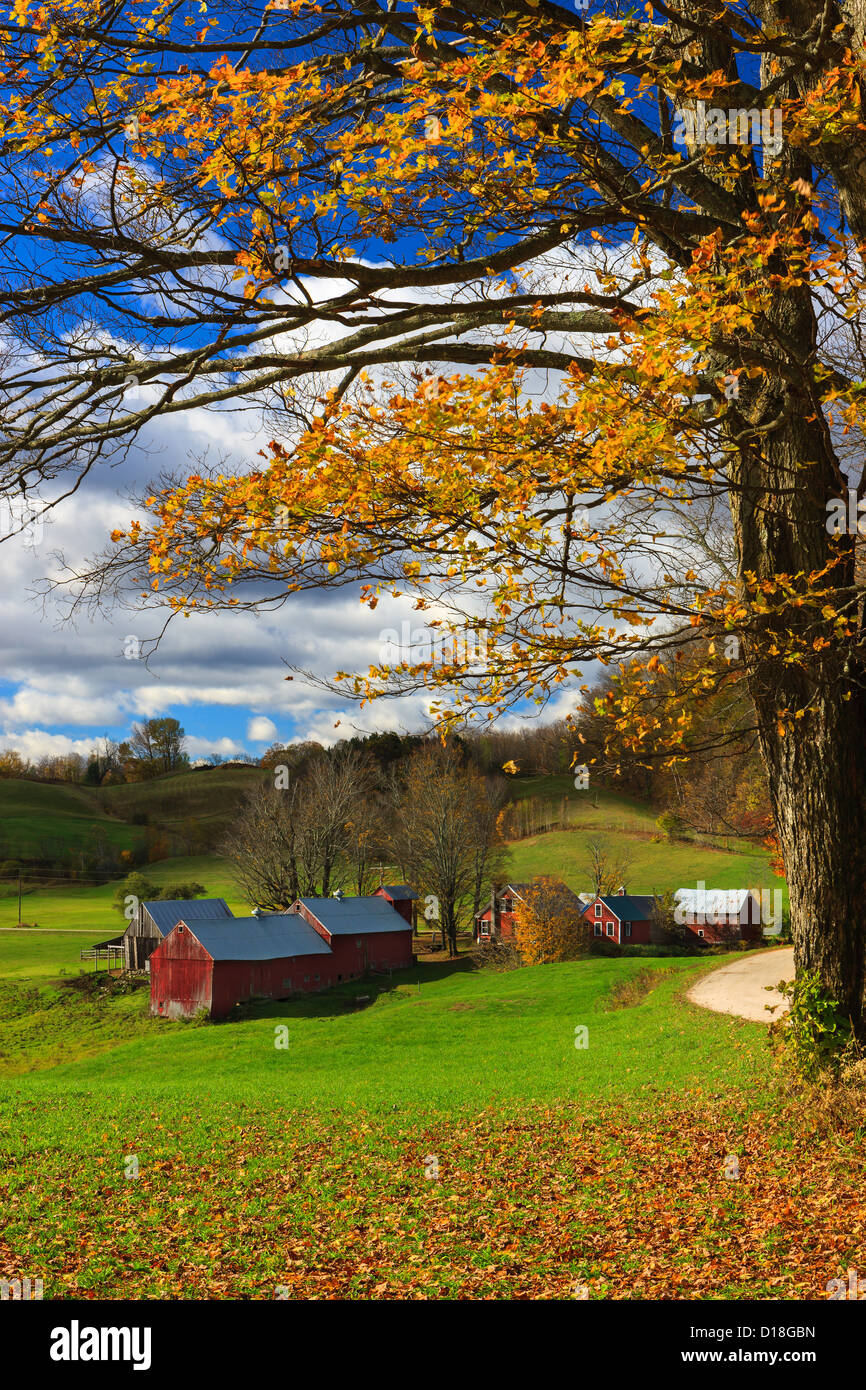 Jenne hi-res stock photography and images - Alamy