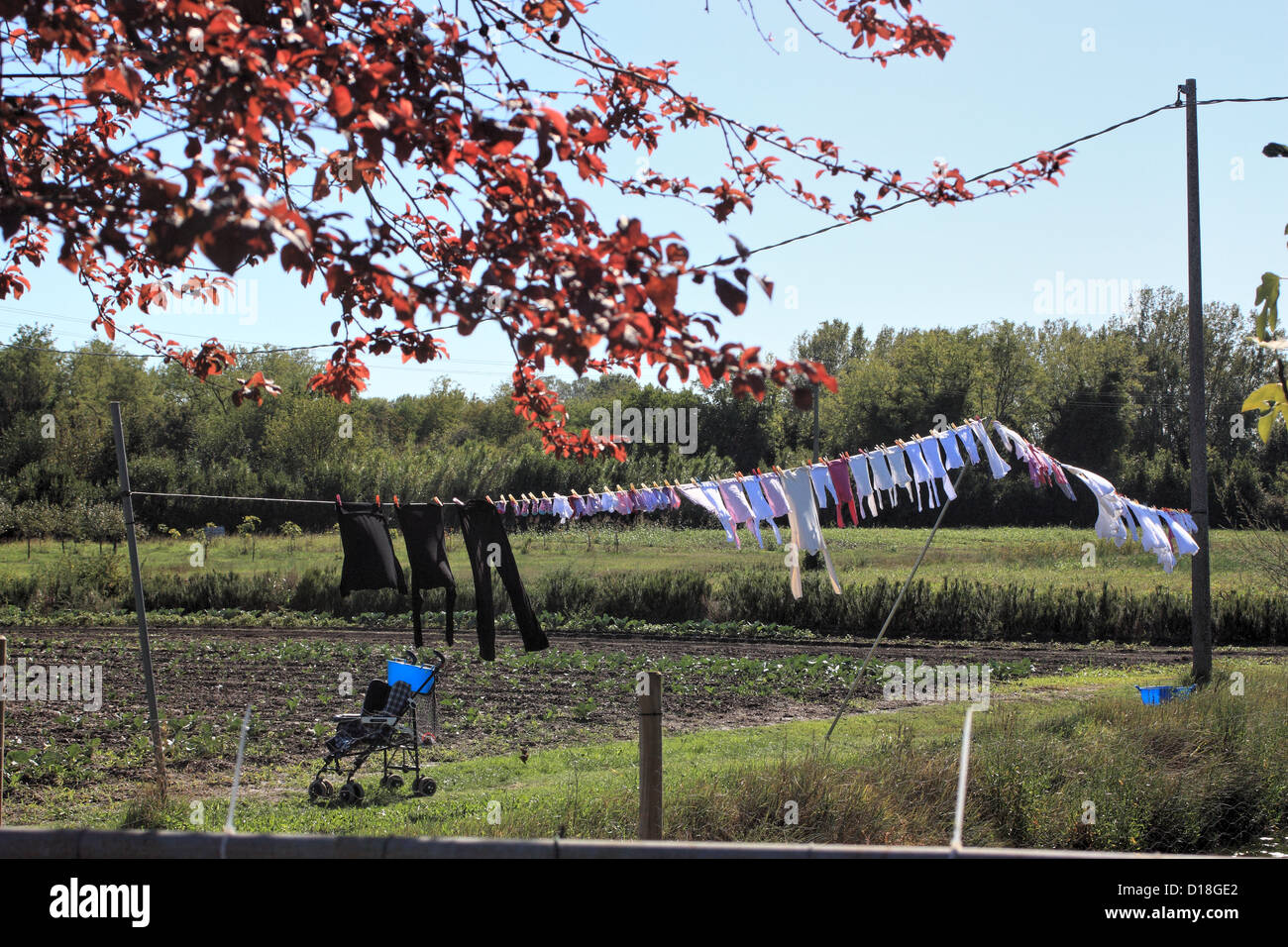 Isola (island) Le Vignole Stock Photo - Alamy