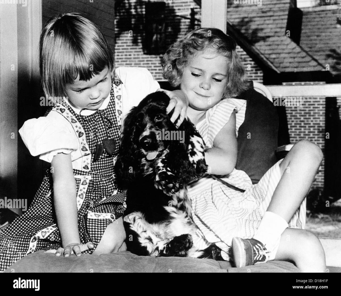 What Type Of Dog Was Checkers