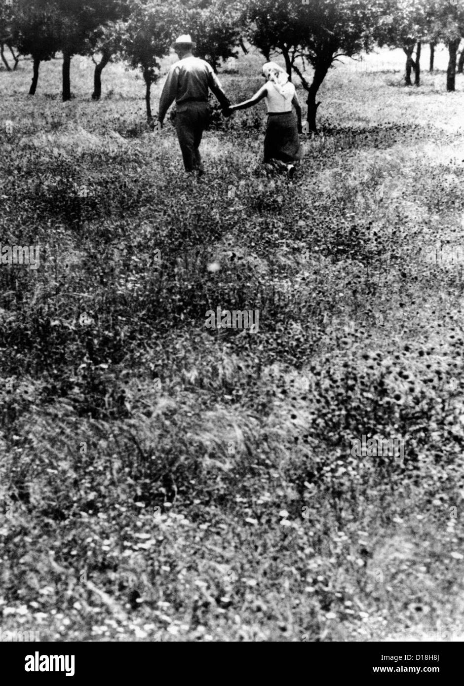 Lyndon rs2wn hi-res stock photography and images - Alamy