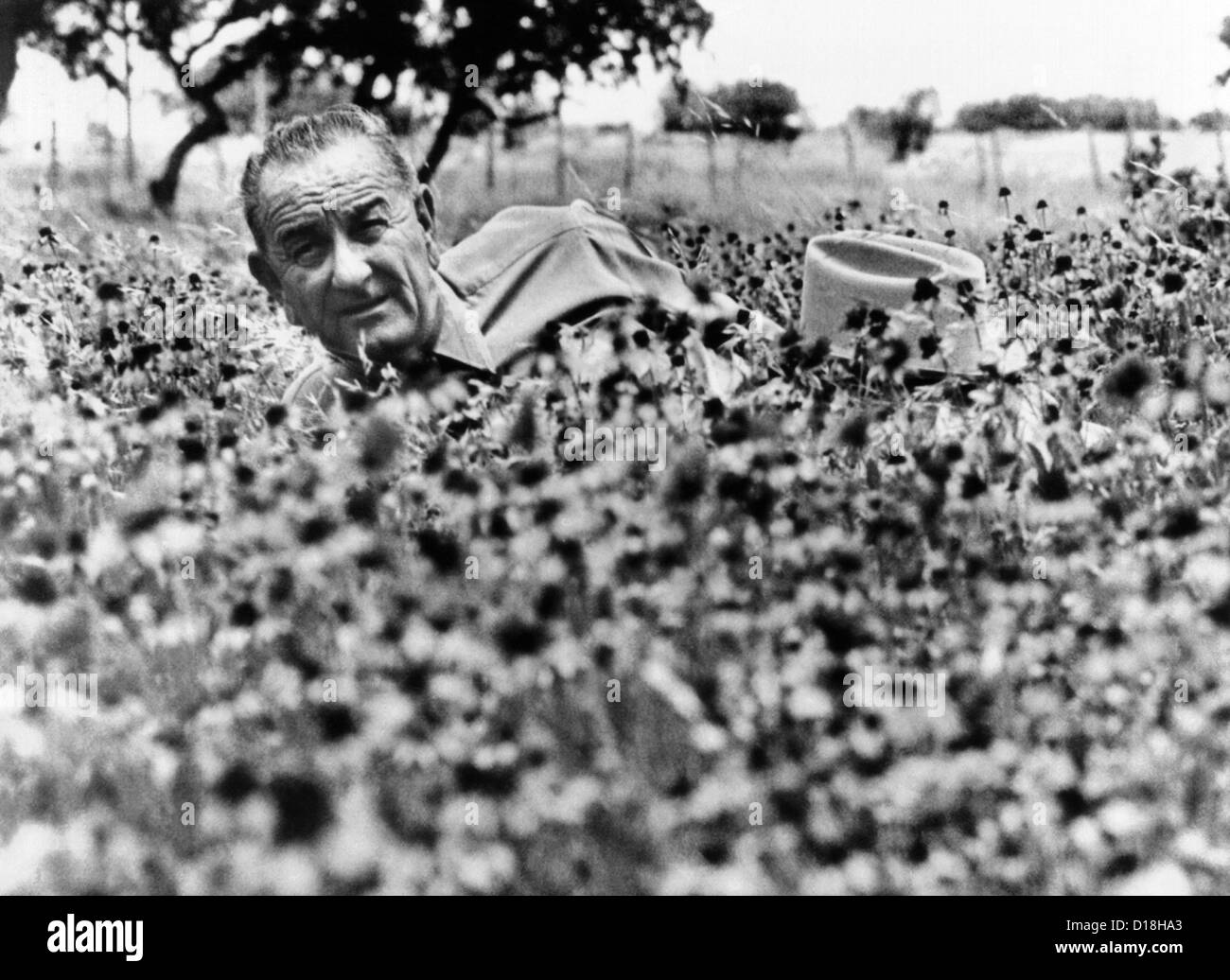 Lyndon rs2wn hi-res stock photography and images - Alamy