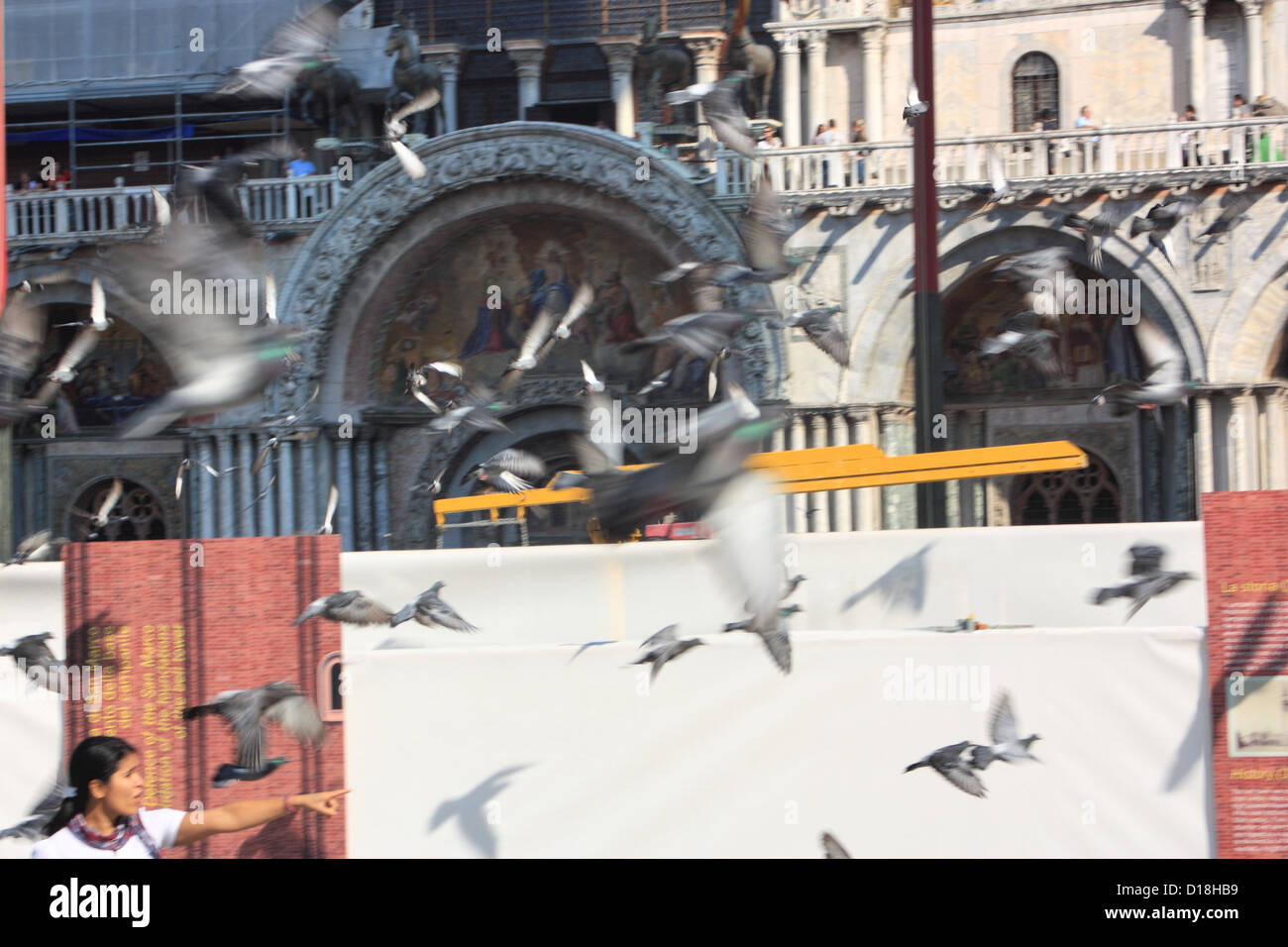 Pigeons e hi-res stock photography and images - Alamy