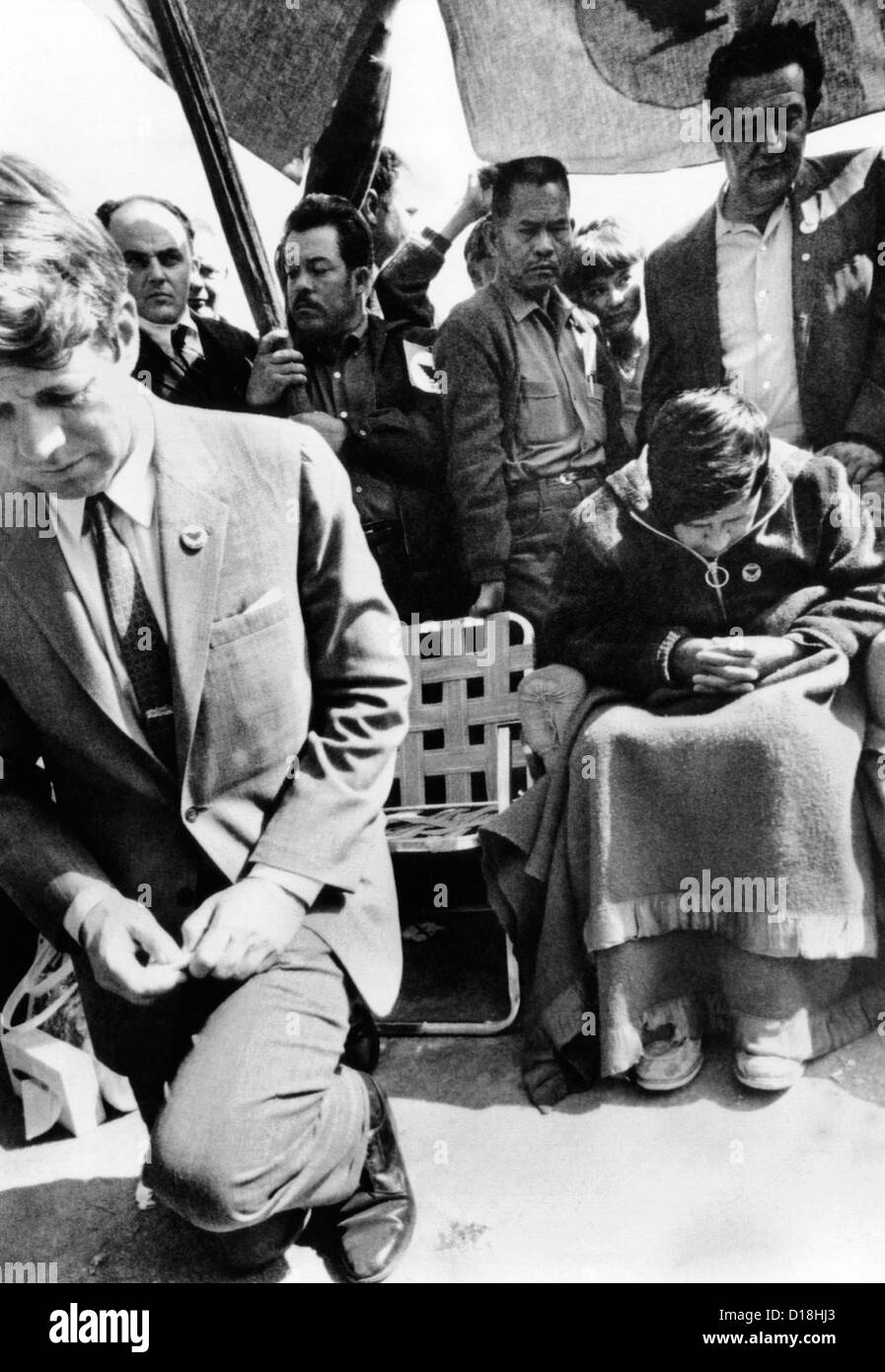 United farm workers mexican hi-res stock photography and images - Alamy