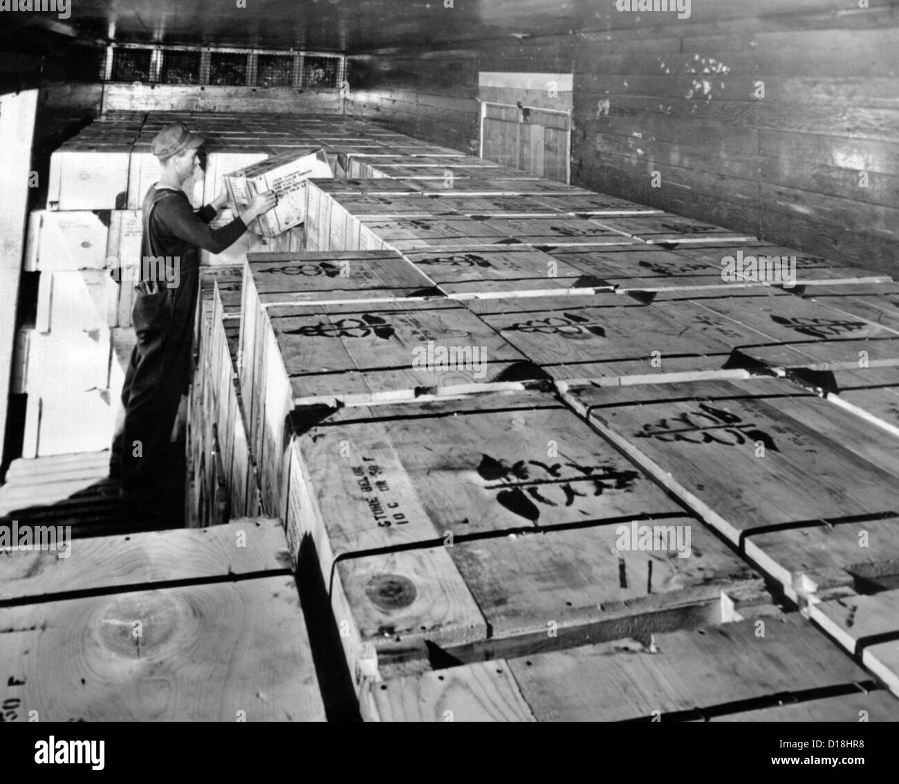 Worker loading the first full box carload shipment of penicillin in ...