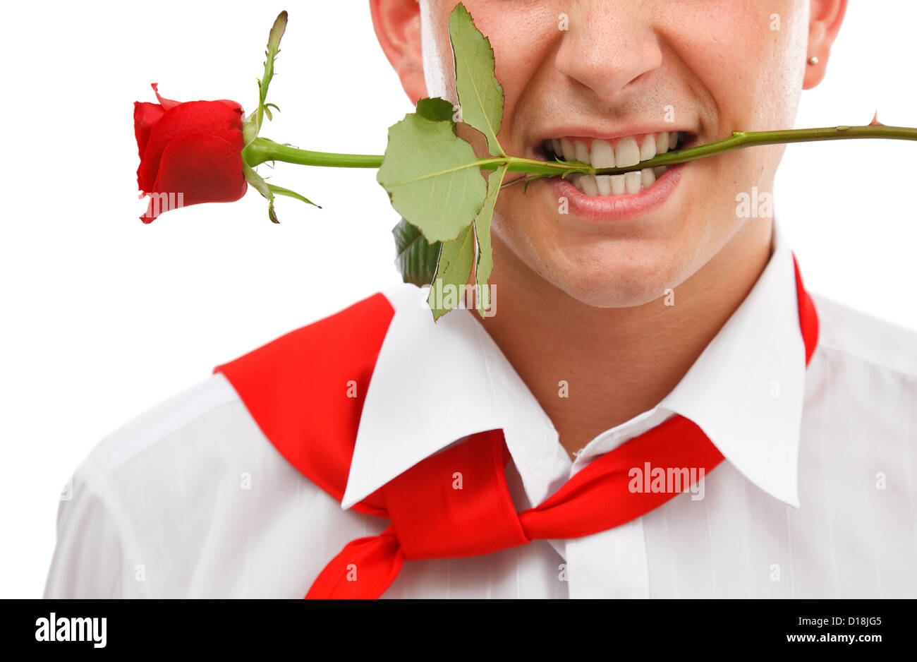 Young man holding a red rose in mouth with teeth, wearing red tie Stock ...